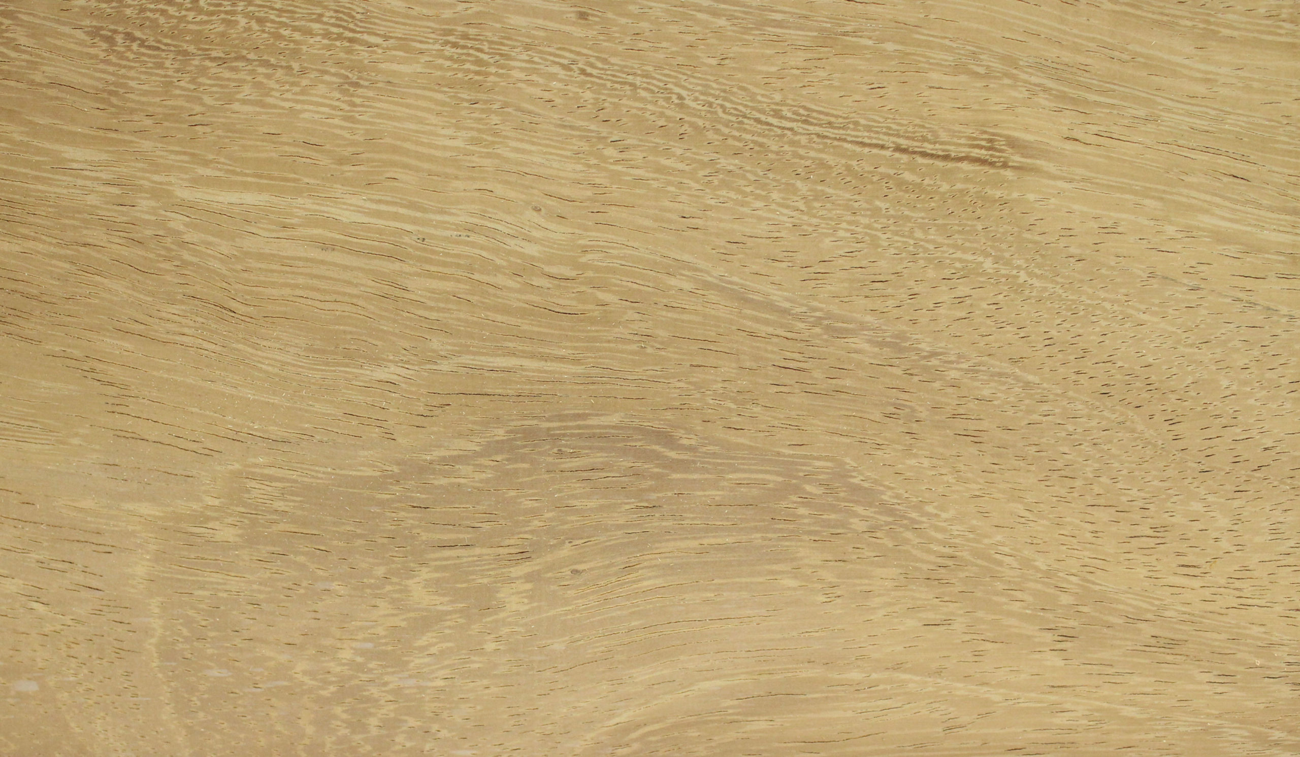 Iroko | International Timber